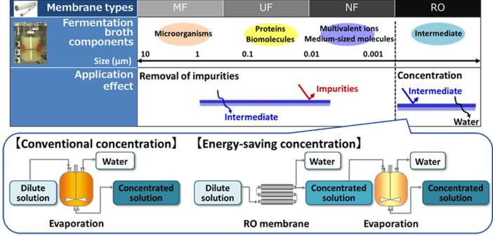 Toray develops bio-based production process for nylon 66 raw material ...