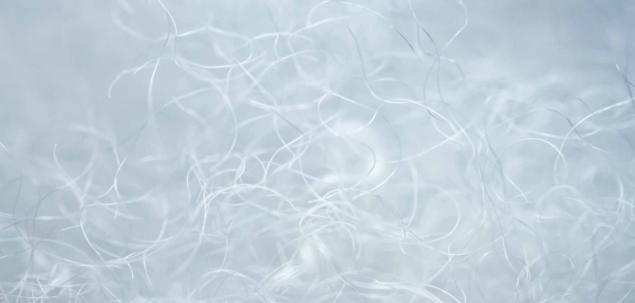 Serial production vehicle headliner manufactured using organic waste ...