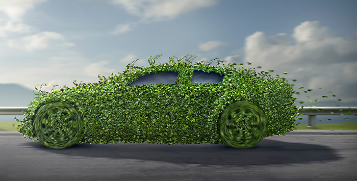 Better together: plants and plastics in sustainable interiors ...